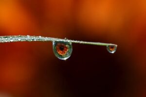 Crying during Reiki: The Health Benefits of Tears – Reiki Rays